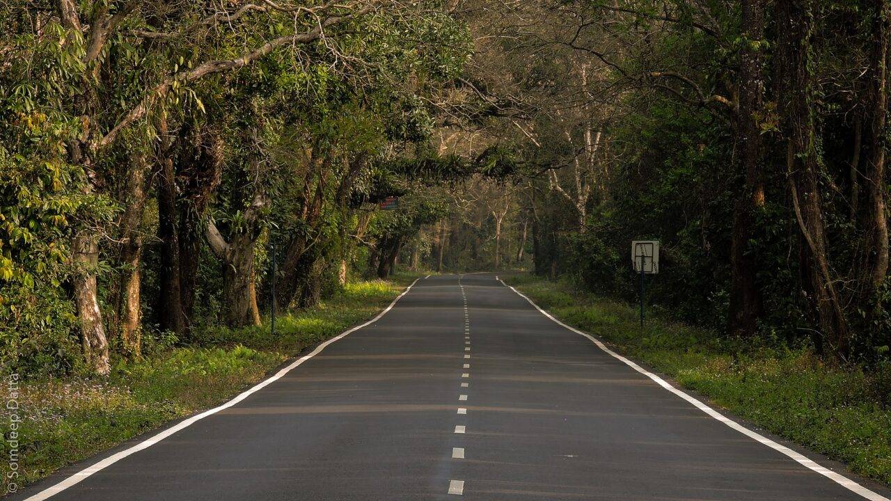 Lataguri Tour Plan : Ultimate Travel Guide (2024) | IndiaTravelPage